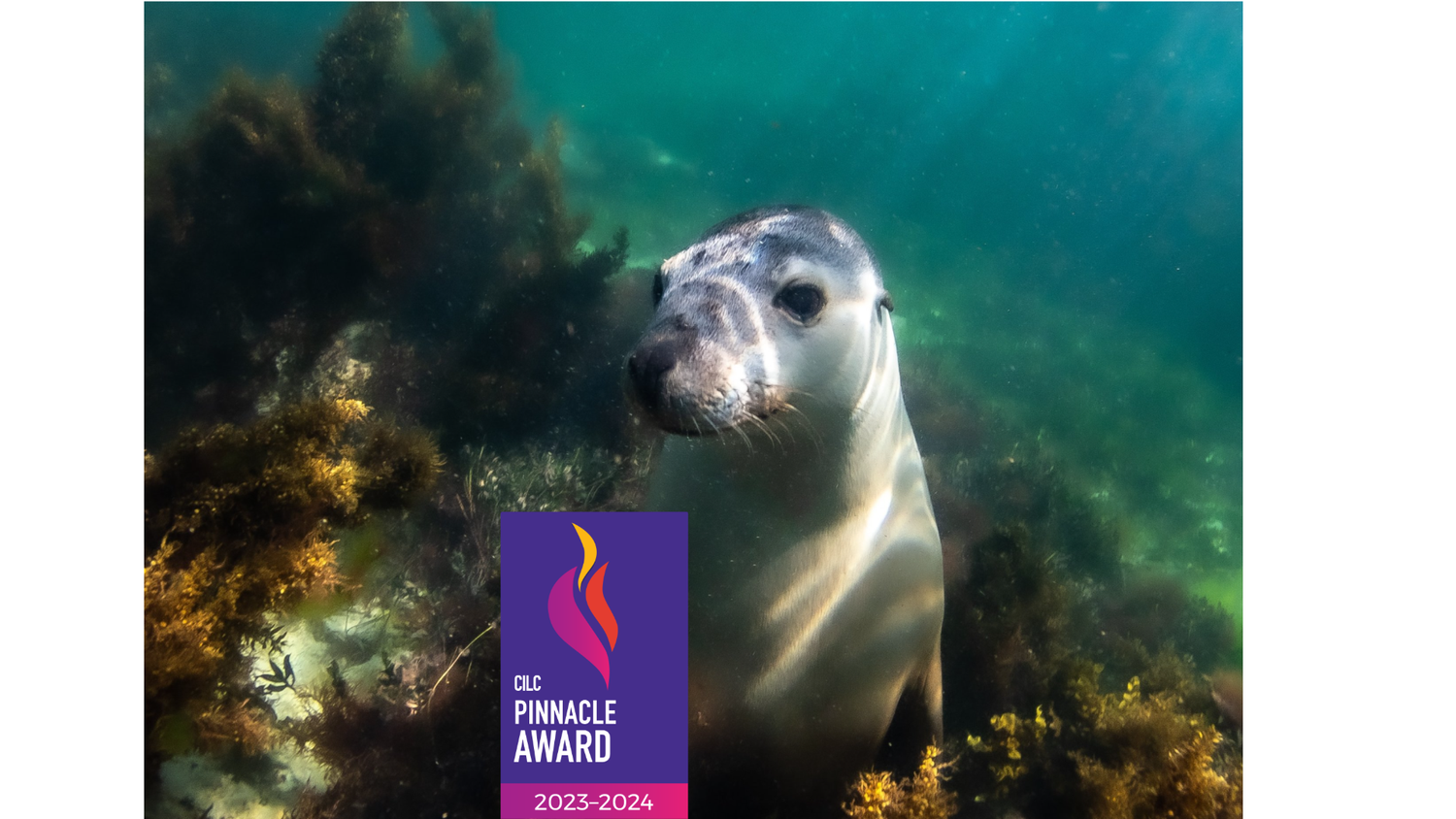 Education Programs — Pacific Marine Mammal Center