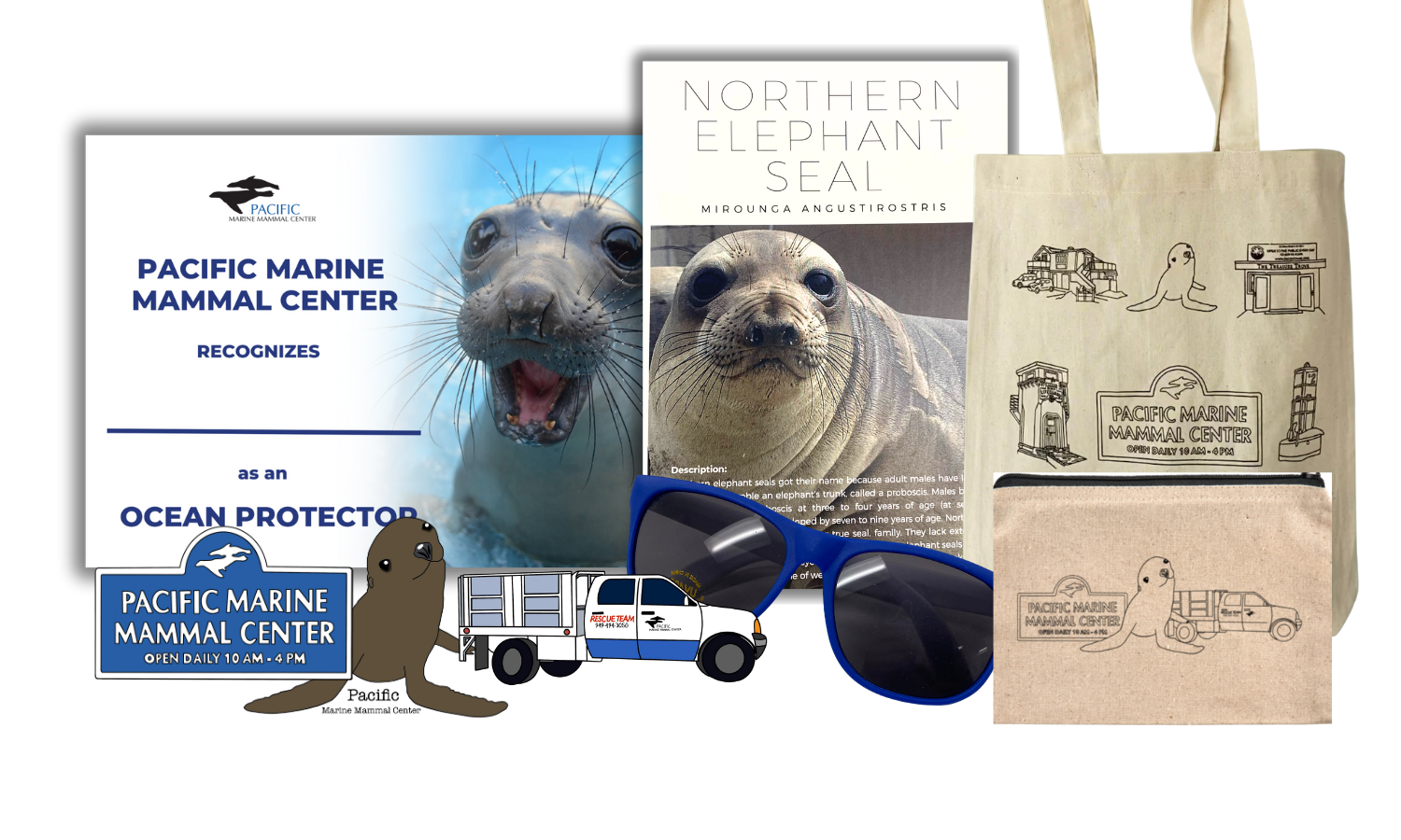 Ocean Protectors — Pacific Marine Mammal Center