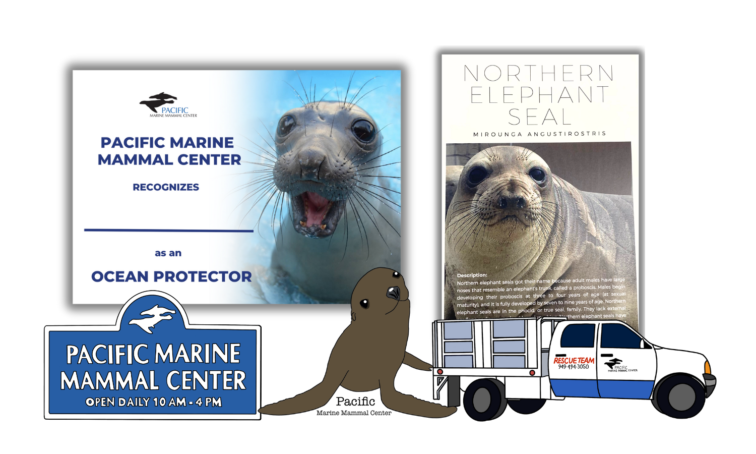 Ocean Protectors — Pacific Marine Mammal Center