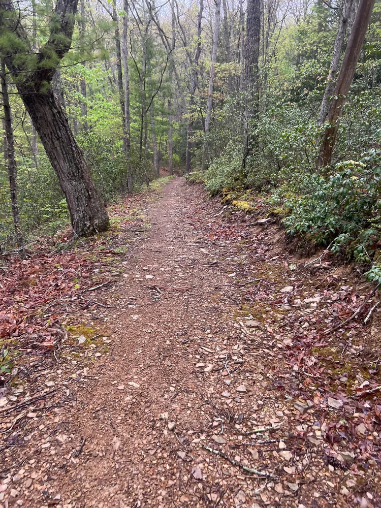 West Virginia Trail Fest