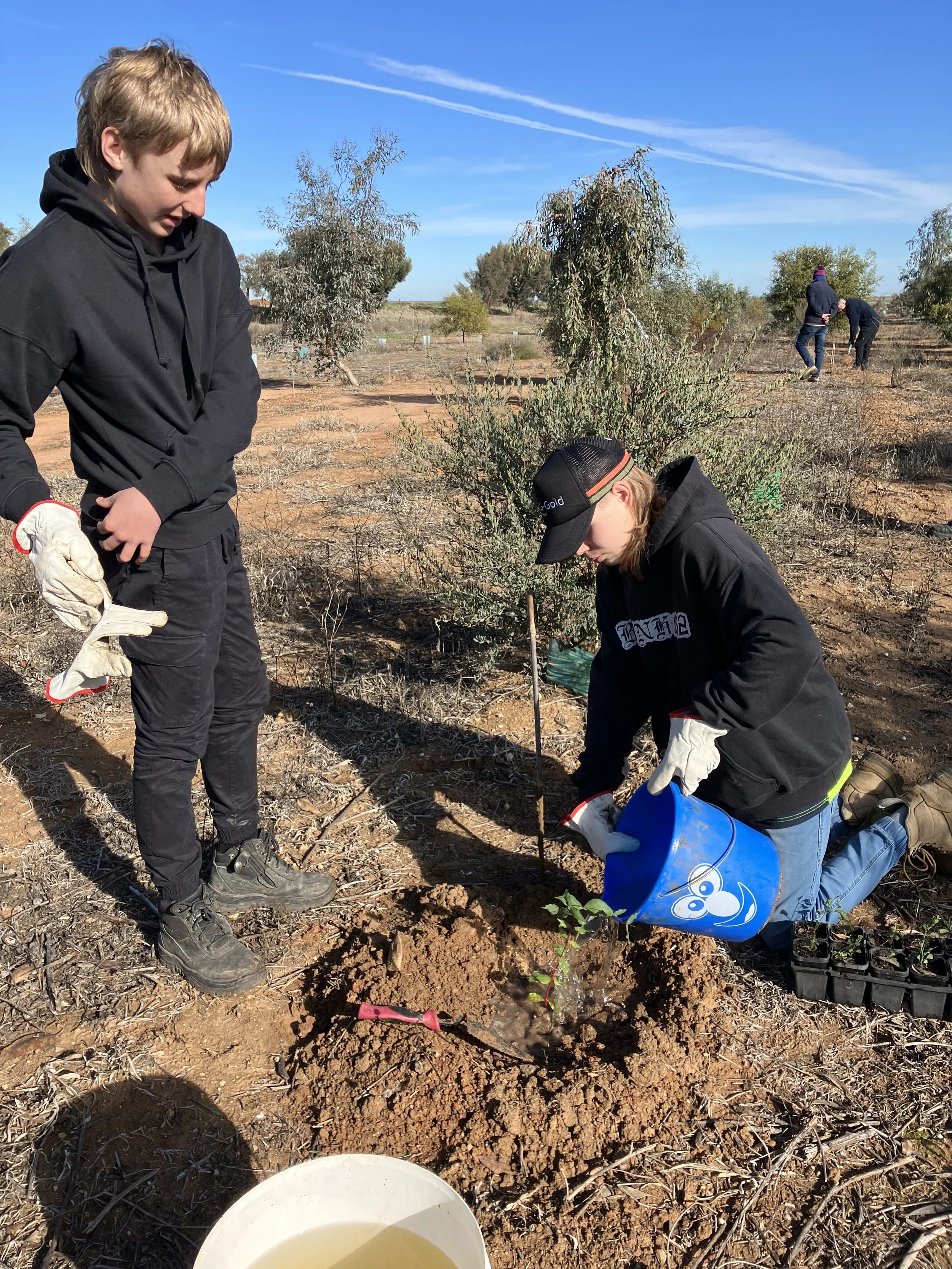 More planting with Murtoa College! — Yarrilinks Landcare