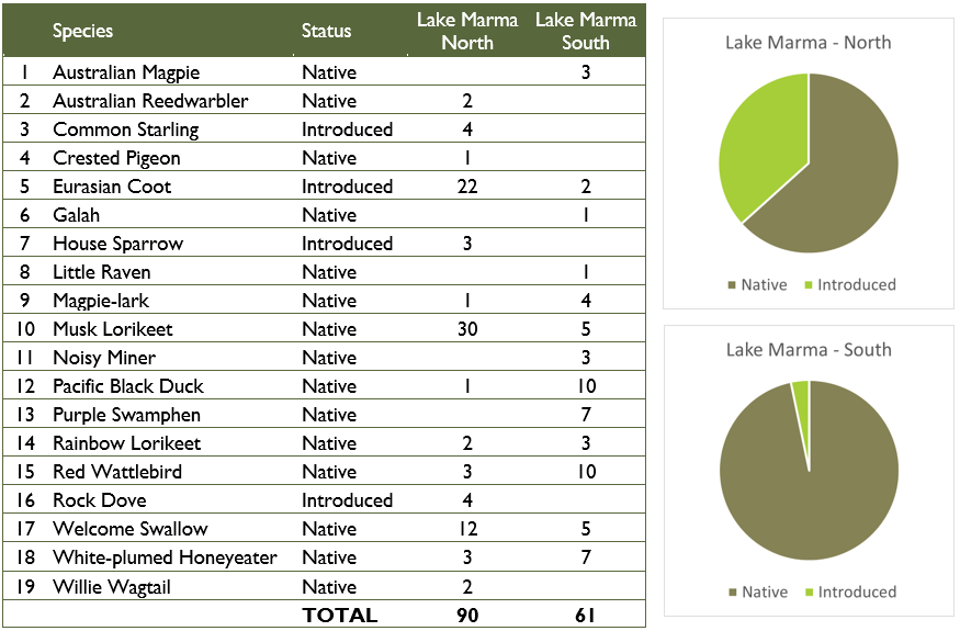 10th Annual Aussie Bird Count — Yarrilinks Landcare