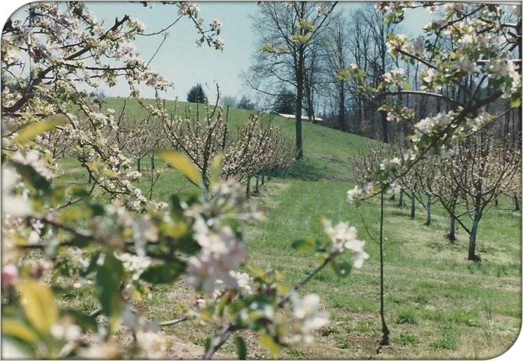 Experience our Farm — Wheeler's Orchard & Vineyard
