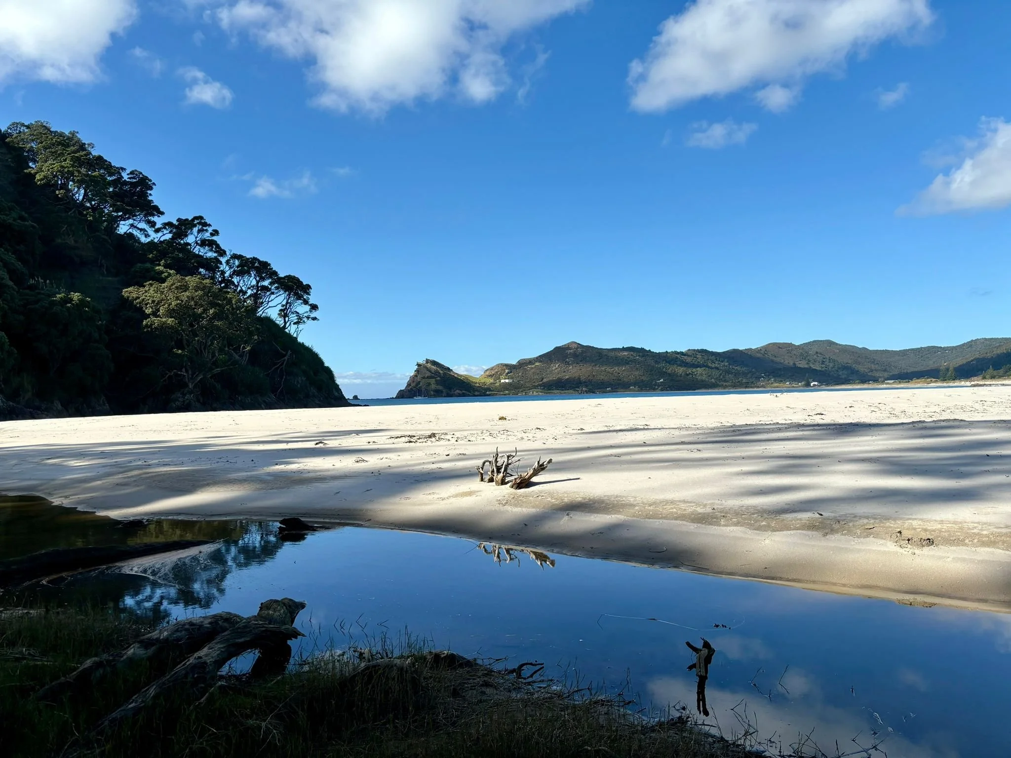 Te Kaihōpara — Ocean Sailing Expeditions Blog