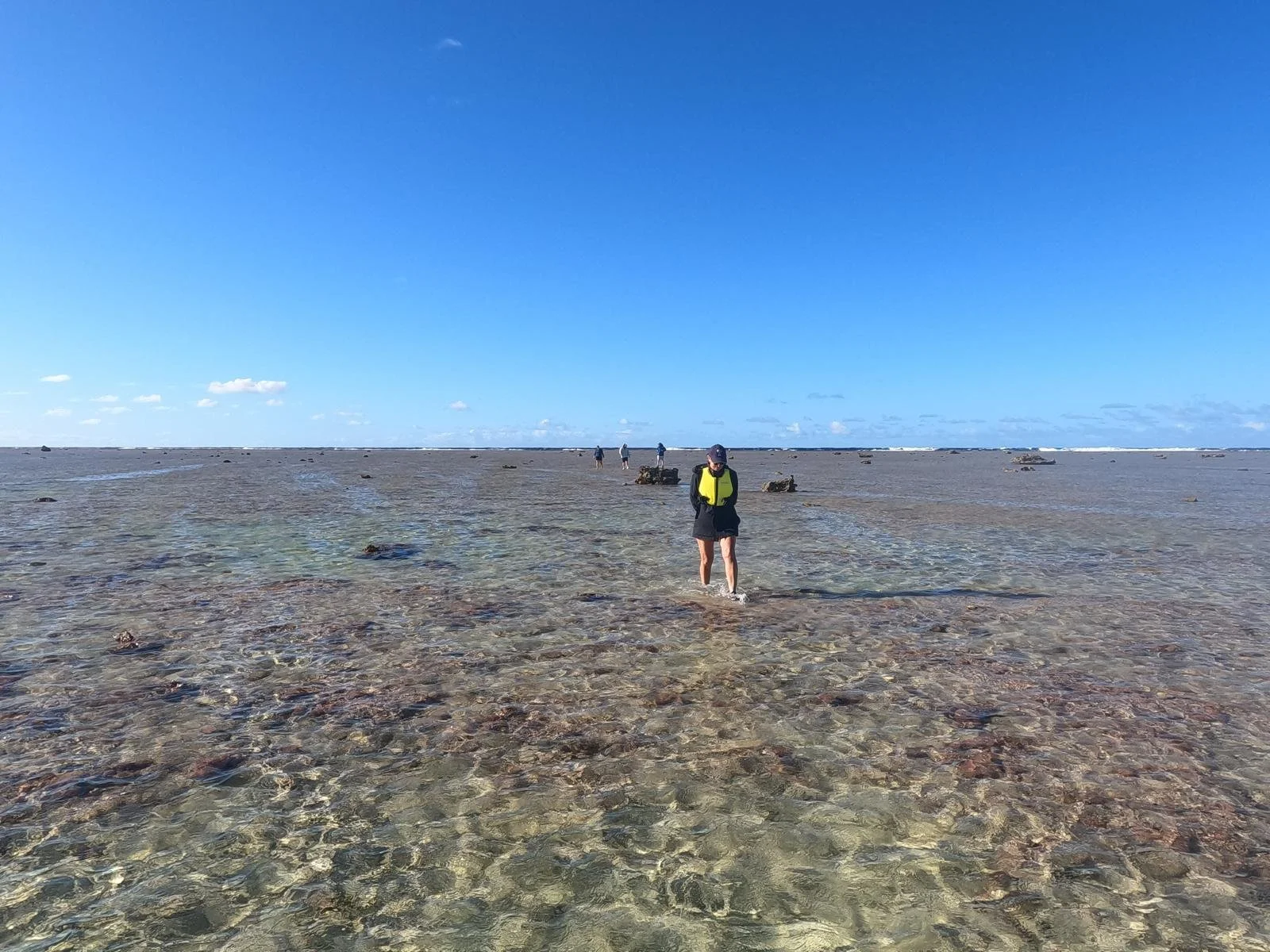 Dreams come true - at Minerva Reef — Ocean Sailing Expeditions Blog
