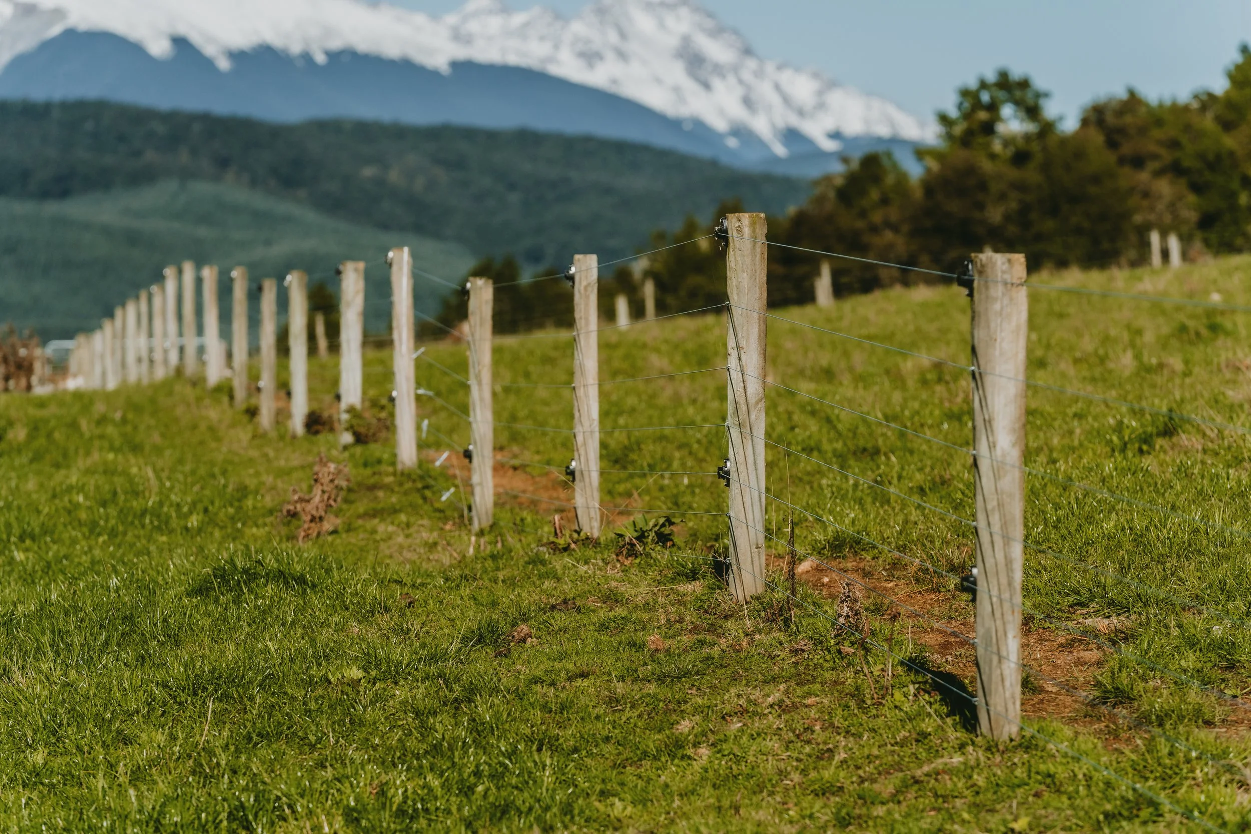 Repost's Story Where Farming Meets Sustainability