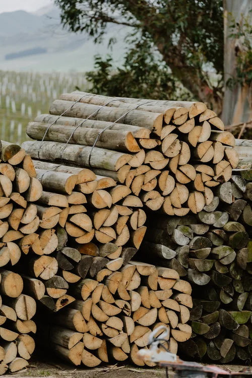 Half Round Fence Posts in NZ - Repost