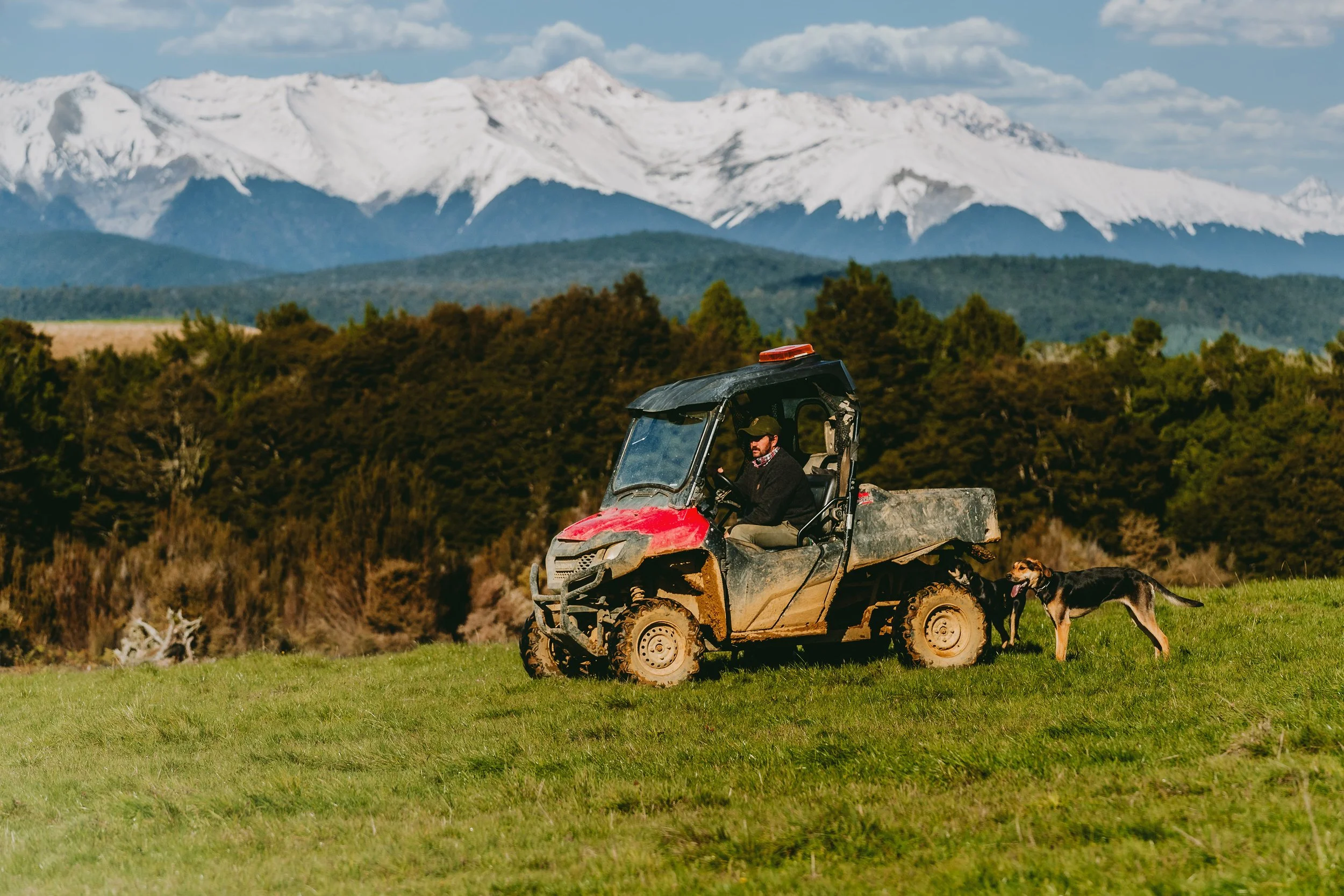 Sustainable Recycled Fence Posts for Farms in NZ