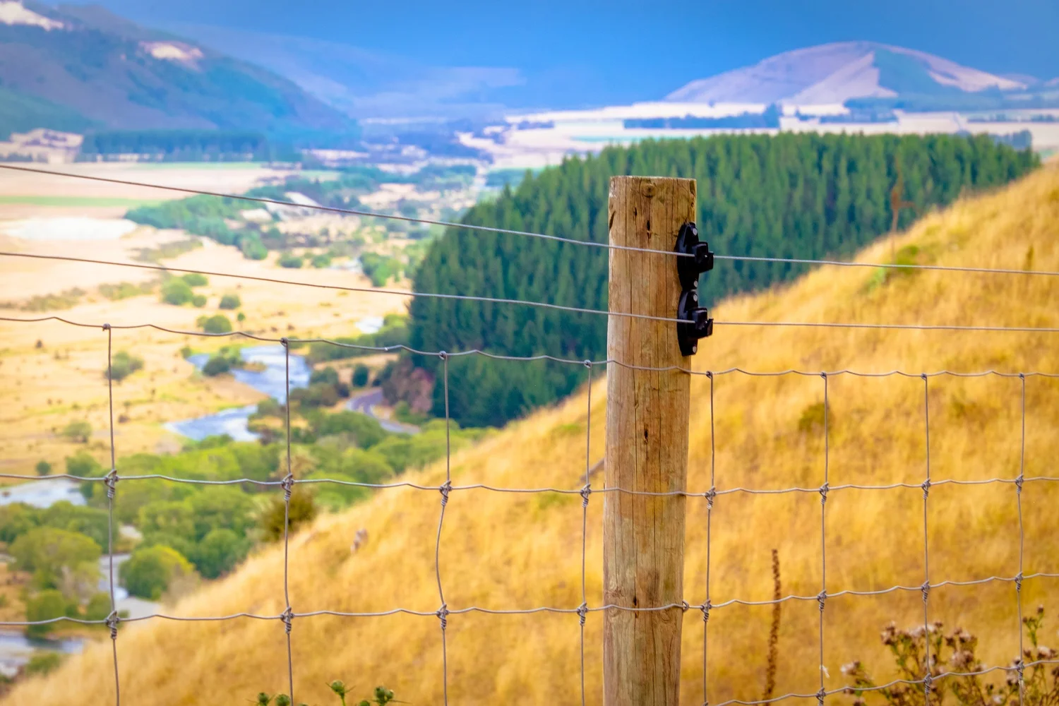 Repost - Premium Wooden Fencing Solutions in NZ