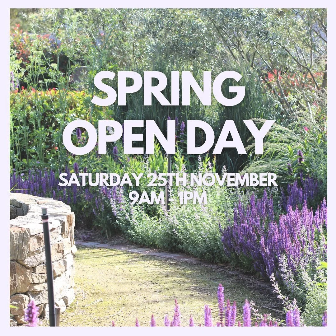 Landscape Architecture - Ladysmith Park Perennials