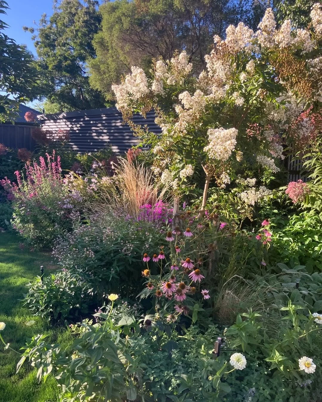 Landscape Architecture - Ladysmith Park Perennials
