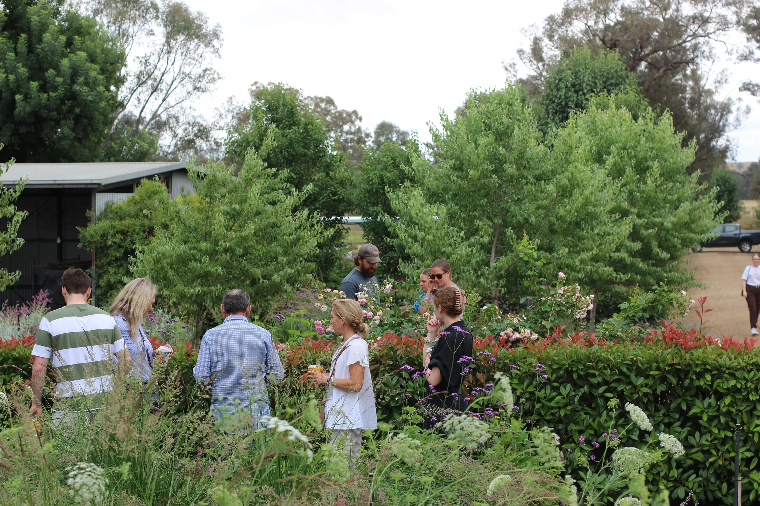 Events & Open Gardens Wagga | Explore & Grow Today — Ladysmith Park ...