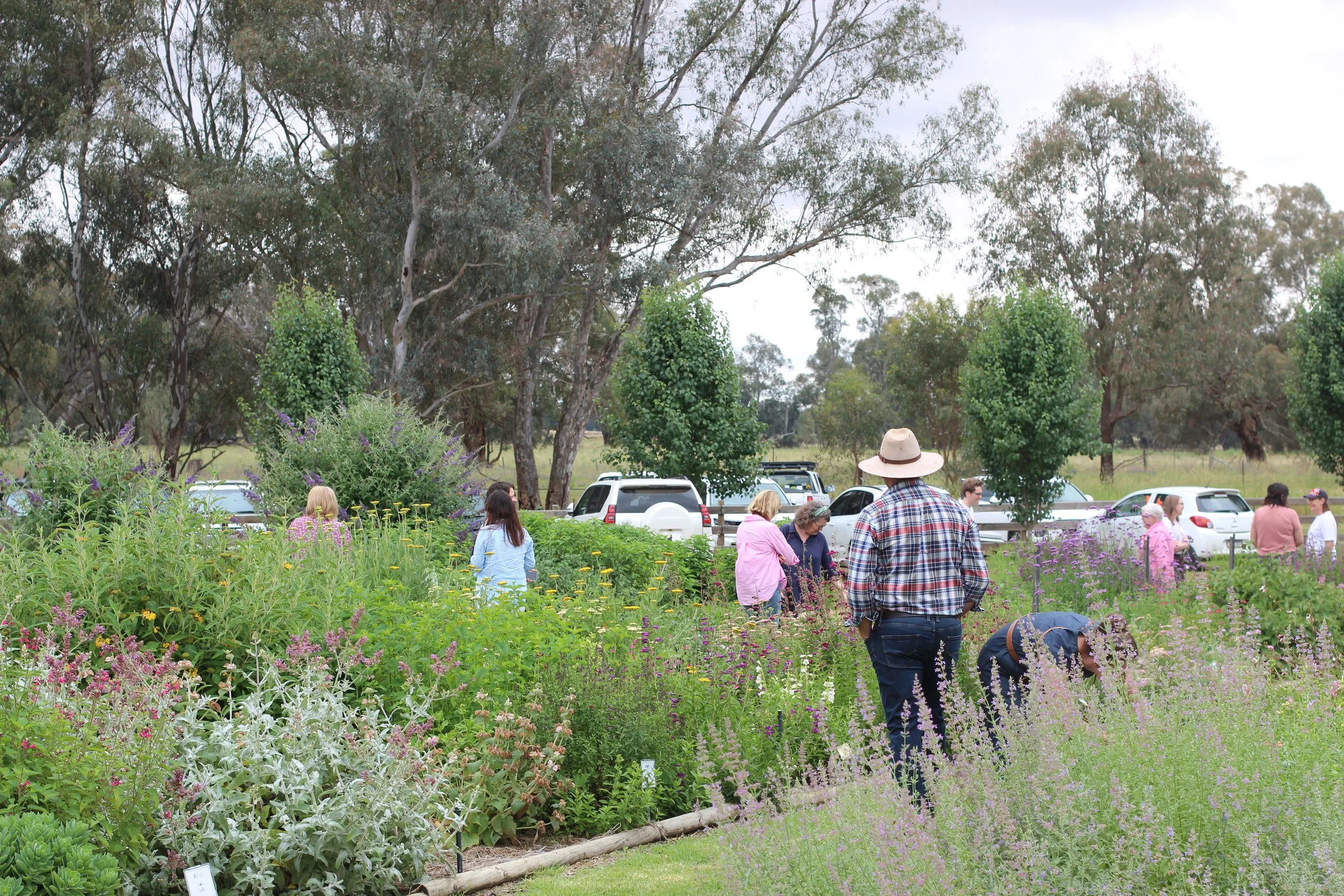 Events & Open Gardens Wagga | Explore & Grow Today — Ladysmith Park ...