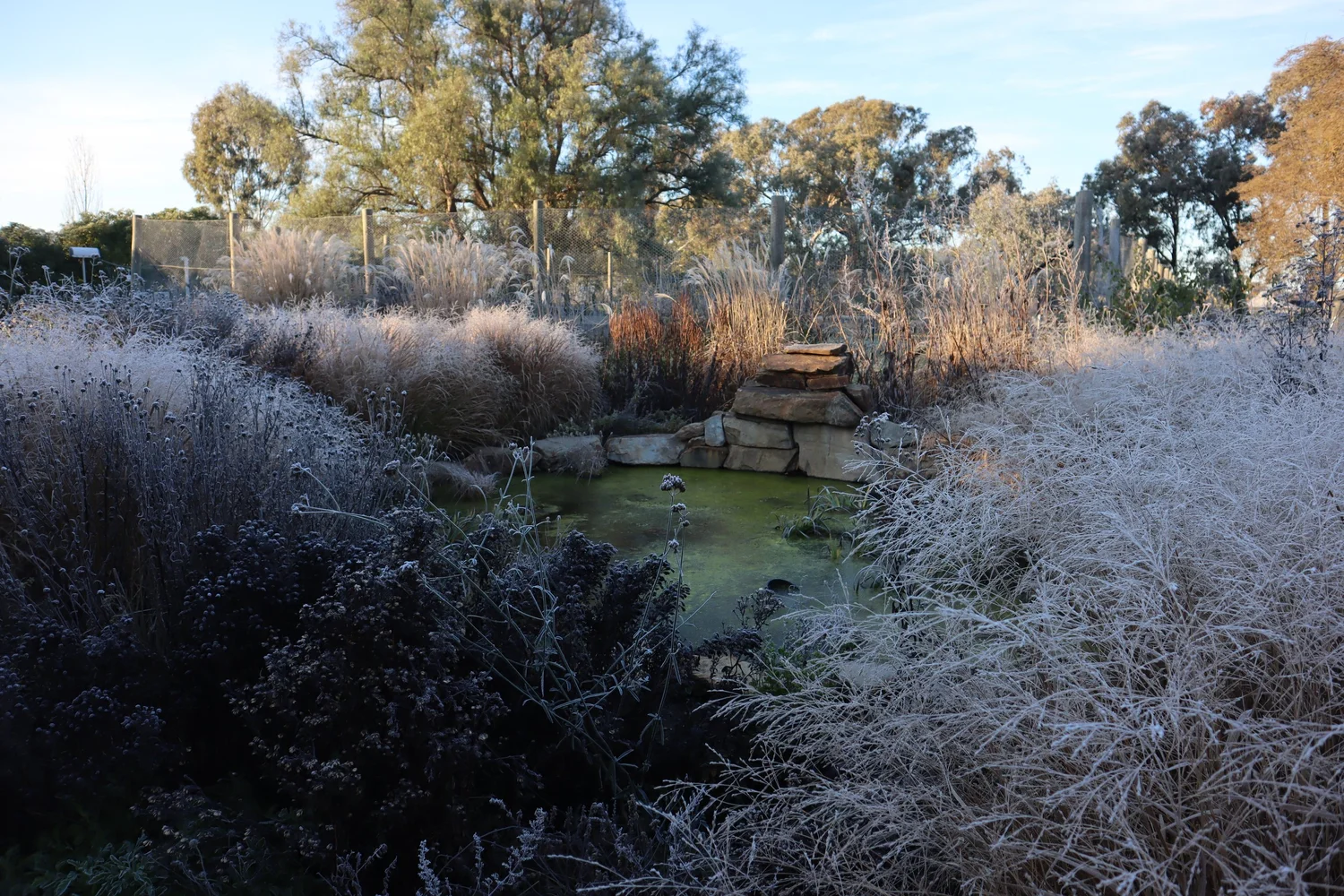 Ladysmith Park Landscape Design | Enhance Your Garden Today — Ladysmith ...