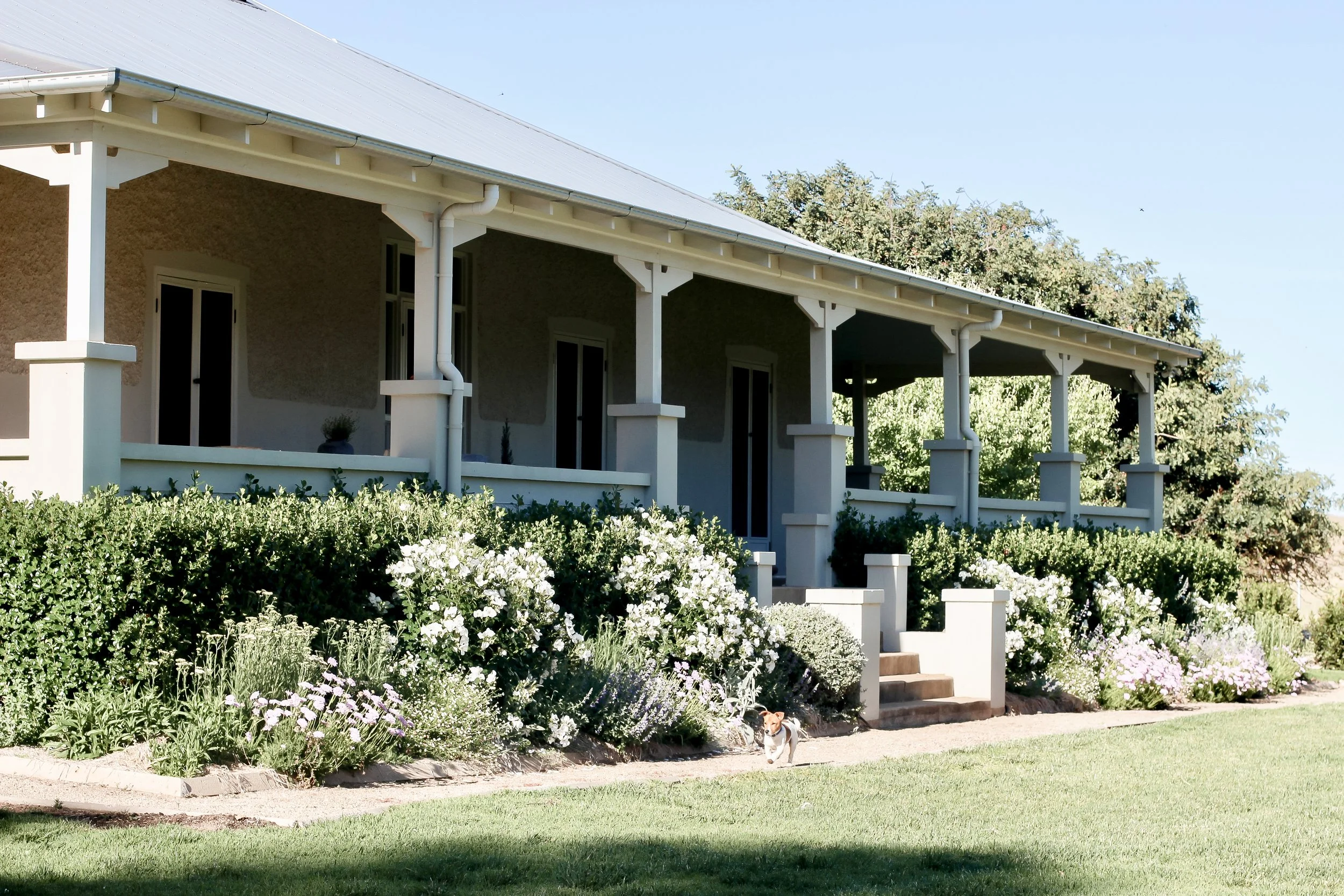 Regional NSW | Explore Unique Garden Designs Today — Ladysmith Park ...