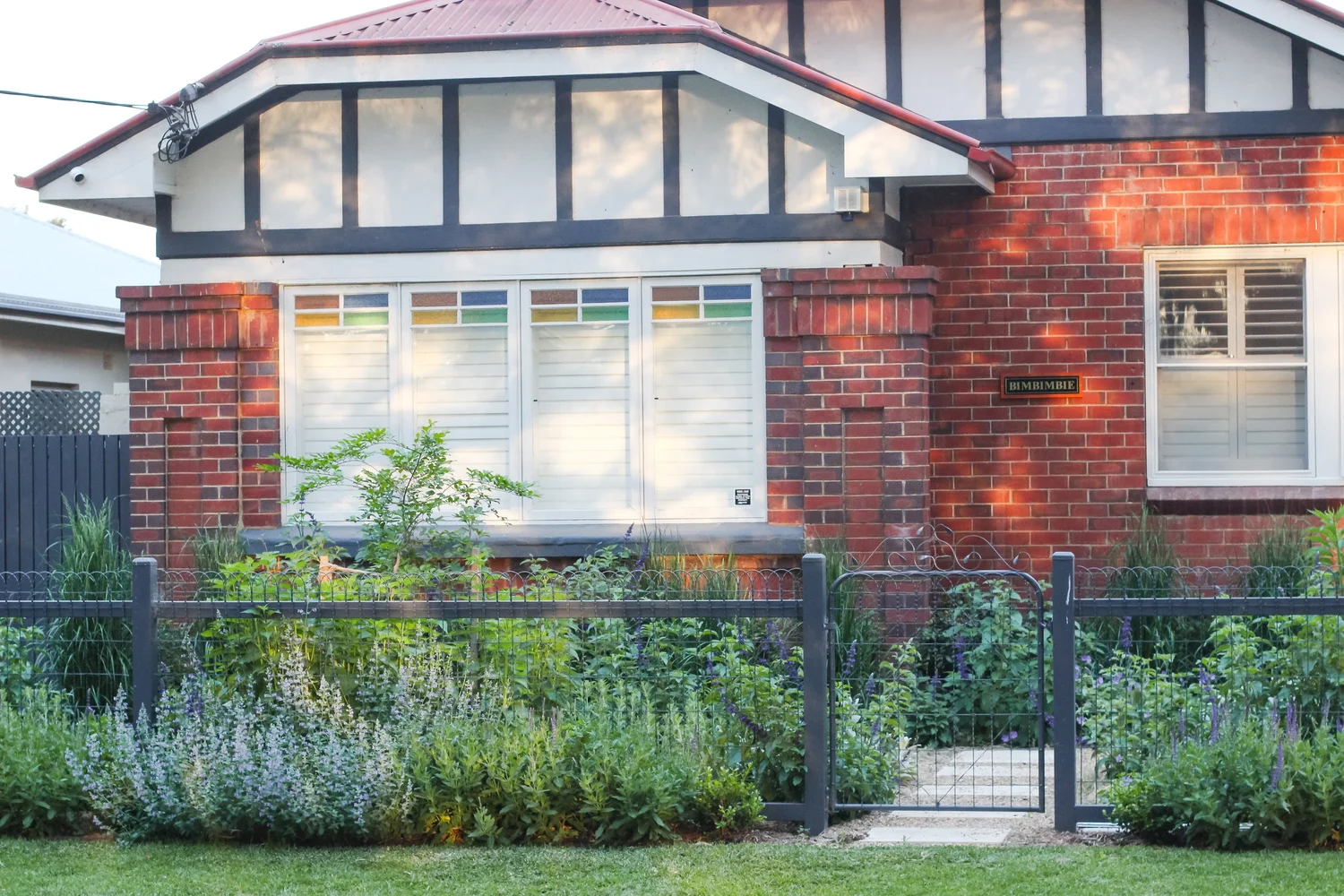 Bimbimbie — Ladysmith Park Perennials