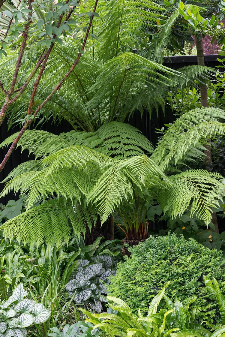 Contemporary Garden Design Golders Green — Hampstead Garden Design ...
