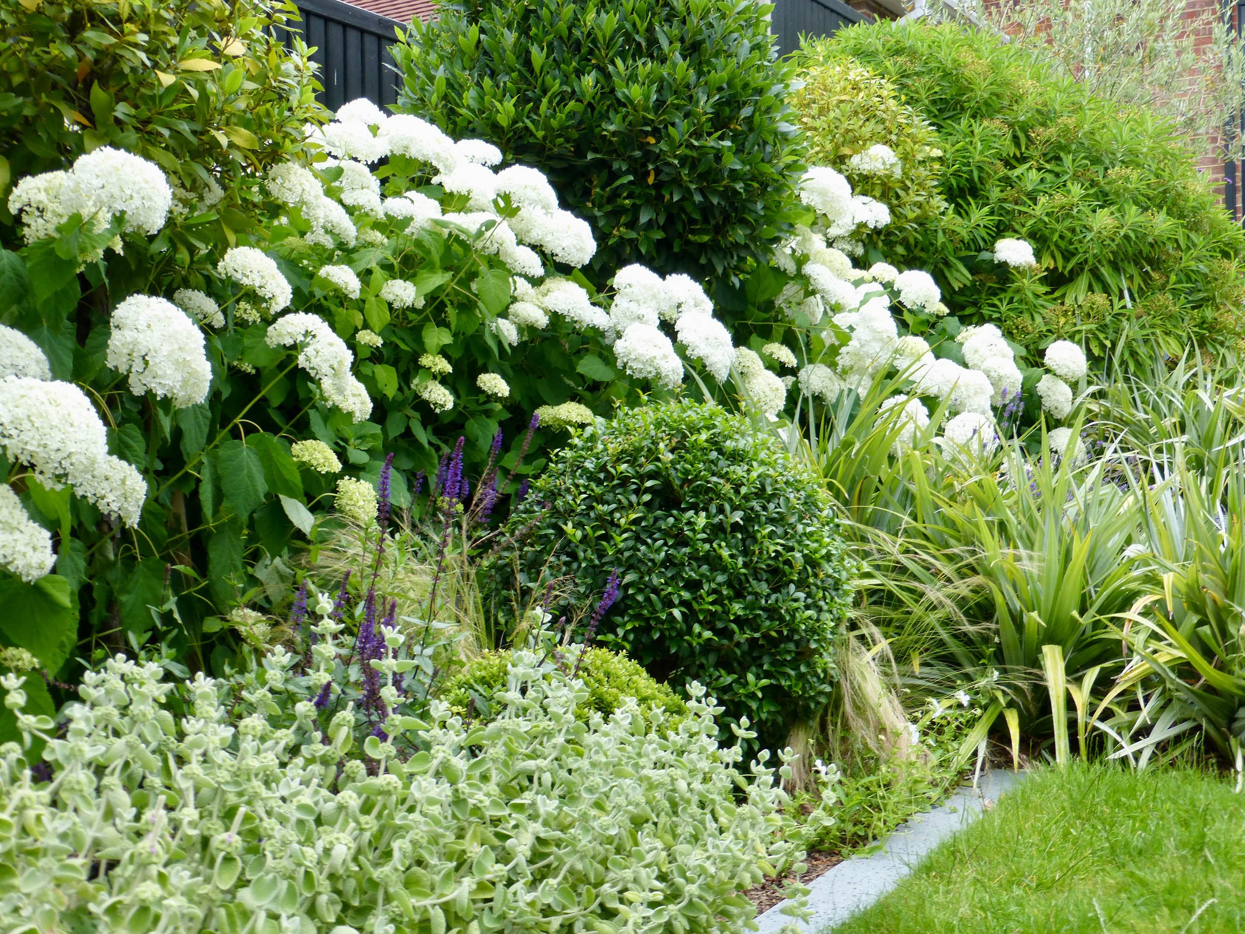Contemporary Garden Design Golders Green — Hampstead Garden Design ...