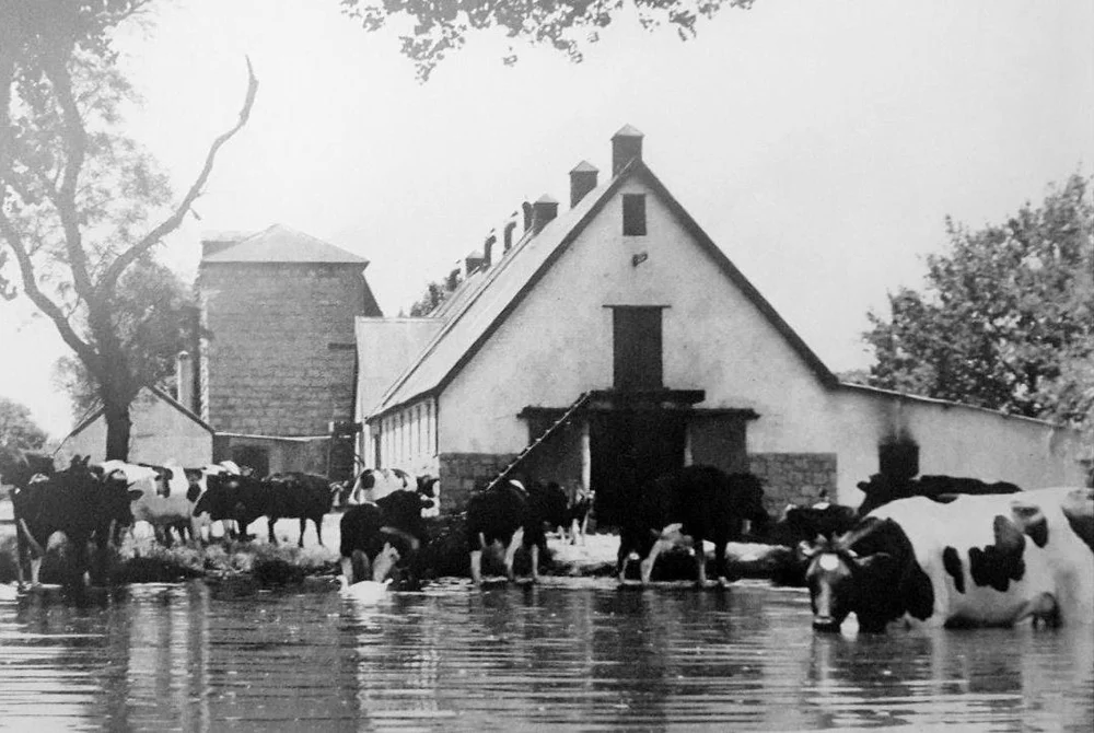 About Nellmapius — Nellmapius