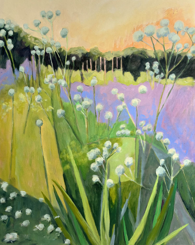 Ellie Snow — Hillsborough Gallery of Arts