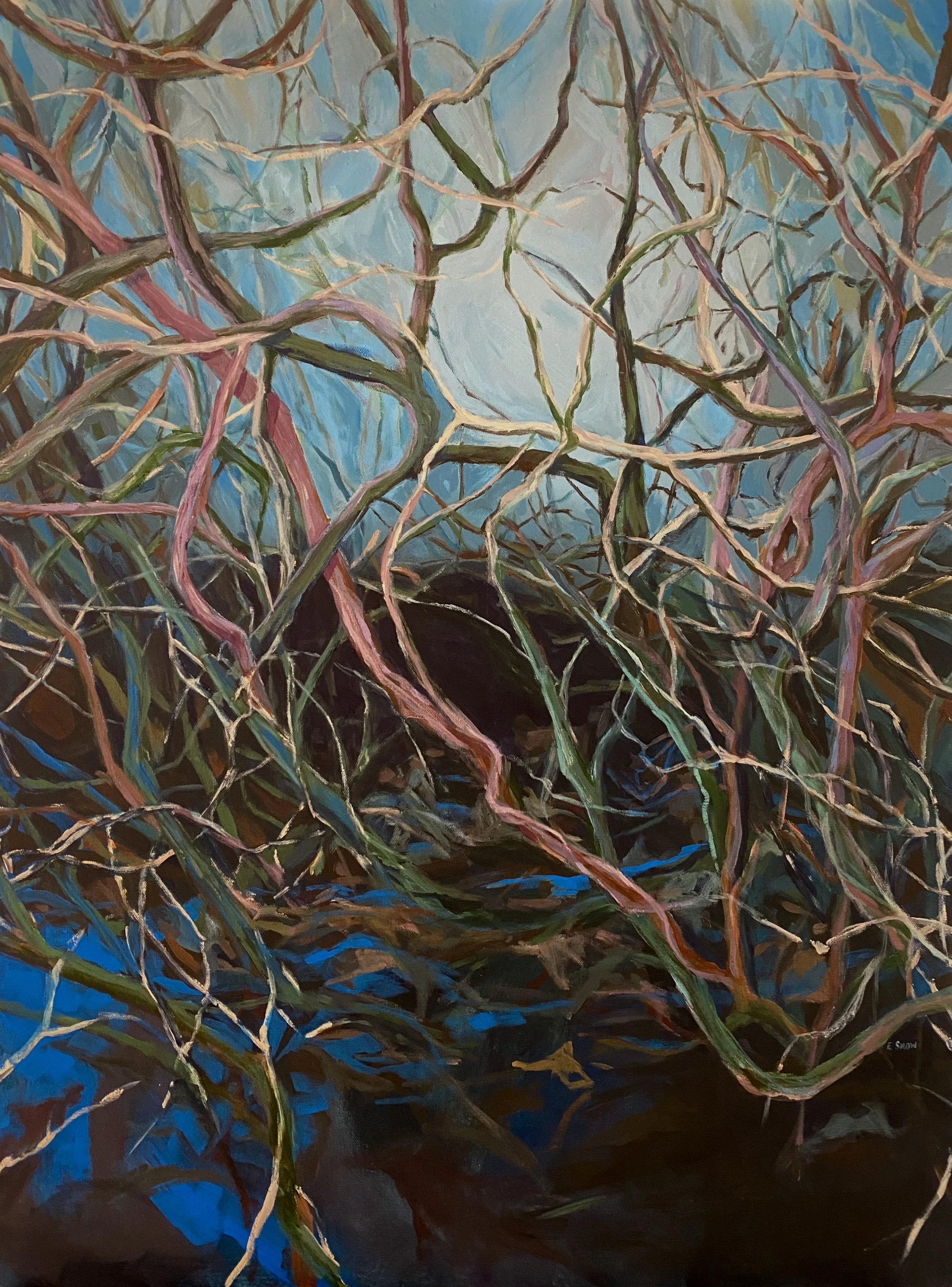 Ellie Snow — Hillsborough Gallery of Arts