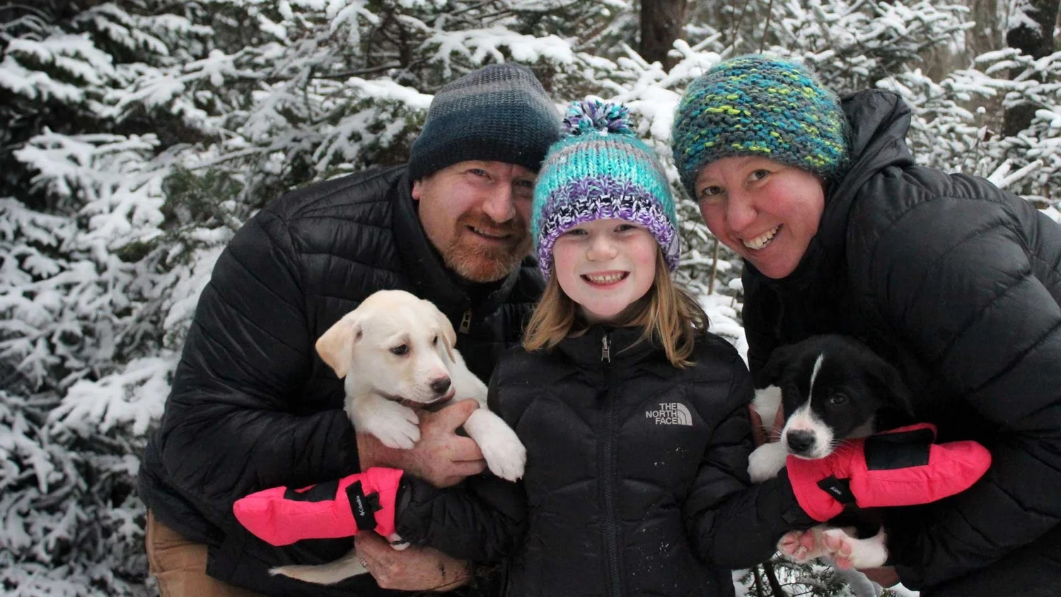 About Us — North Ridge Ranch Muskoka Dog Sledding Tours
