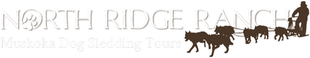 North Ridge Ranch Muskoka Dog Sledding Tours
