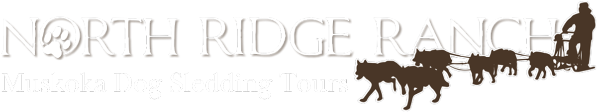 North Ridge Ranch Muskoka Dog Sledding Tours