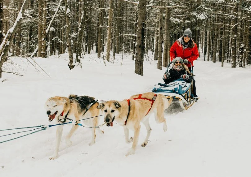 North Ridge Ranch Muskoka Dog Sledding Tours