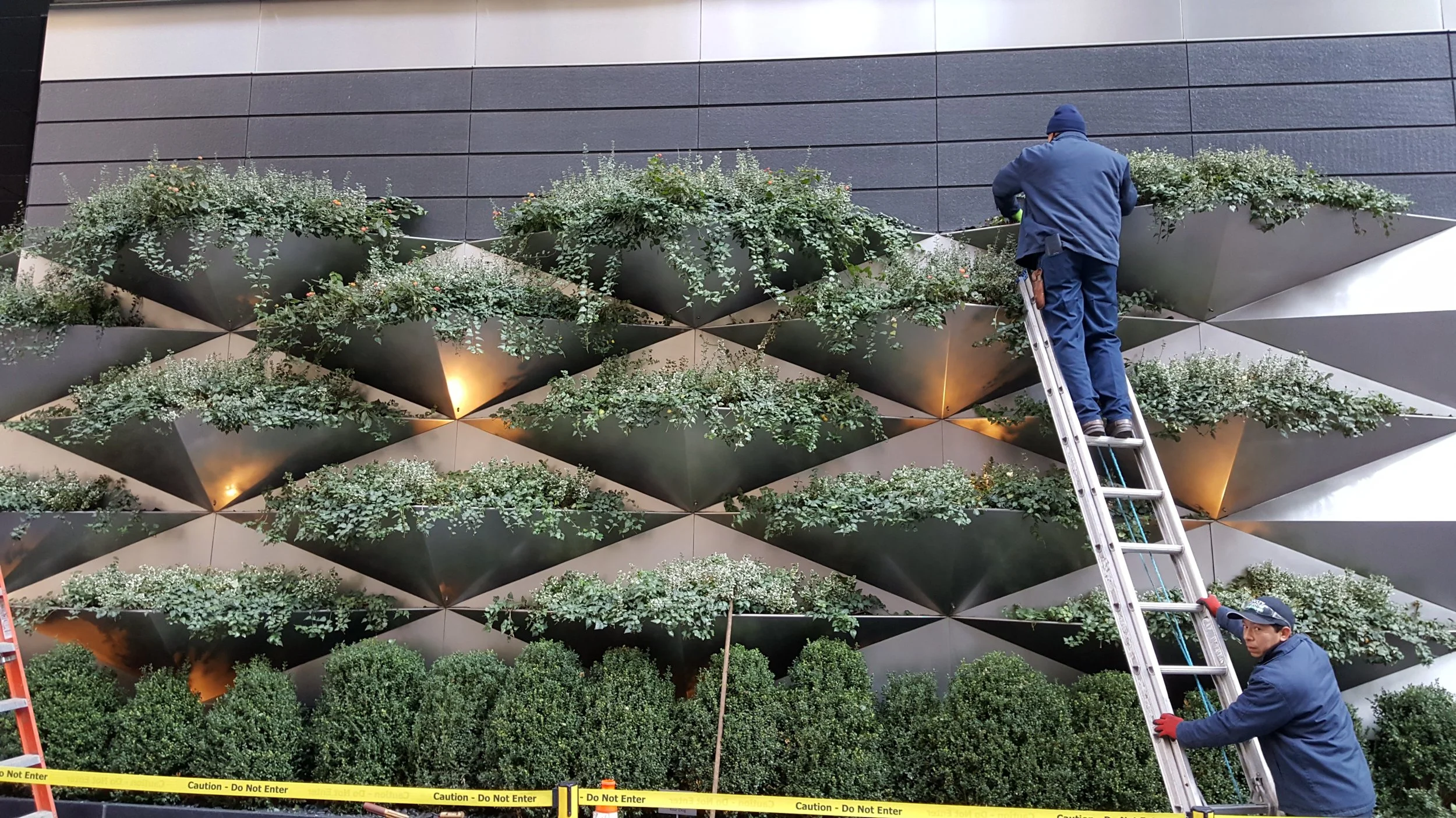 Outdoor projects — McNulty Outdoors