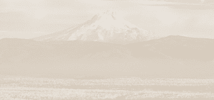 Certified Wool — Shaniko Wool Company
