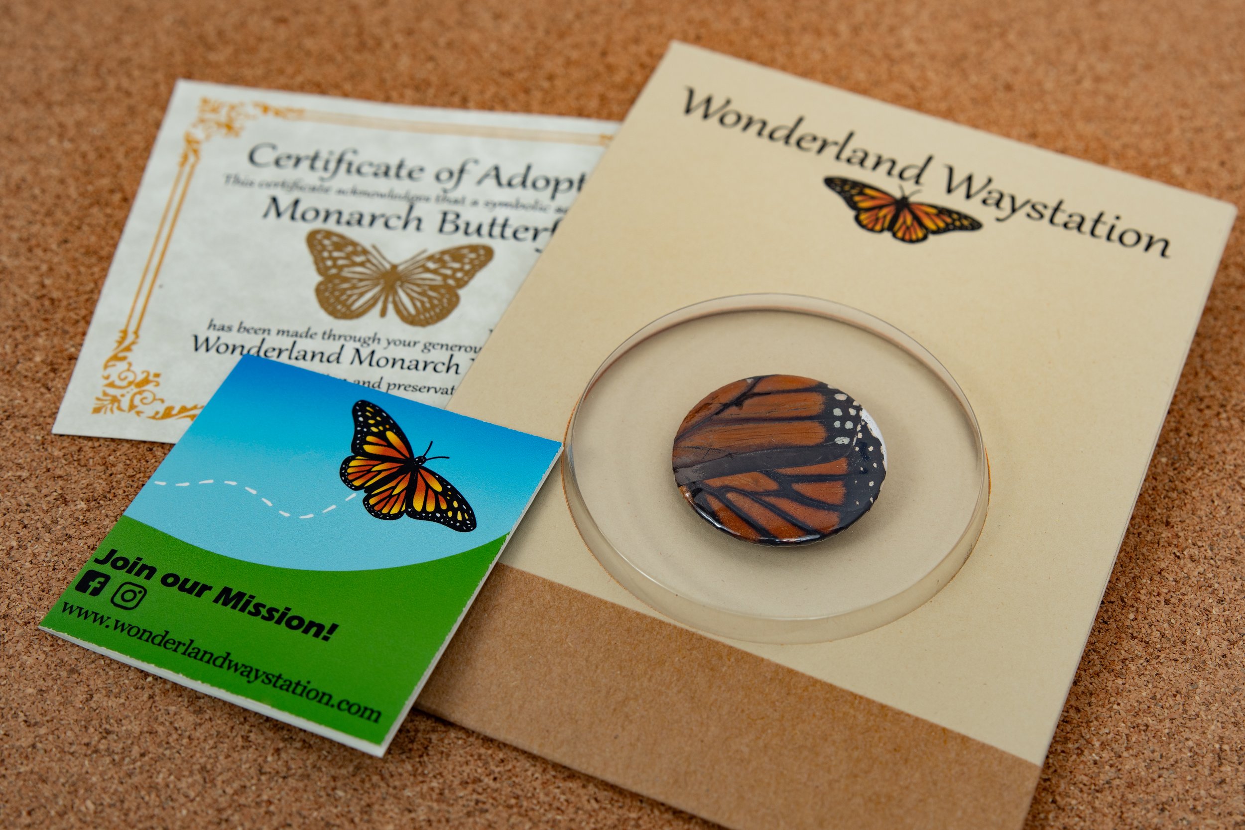 Wonderland Monarch Waystation