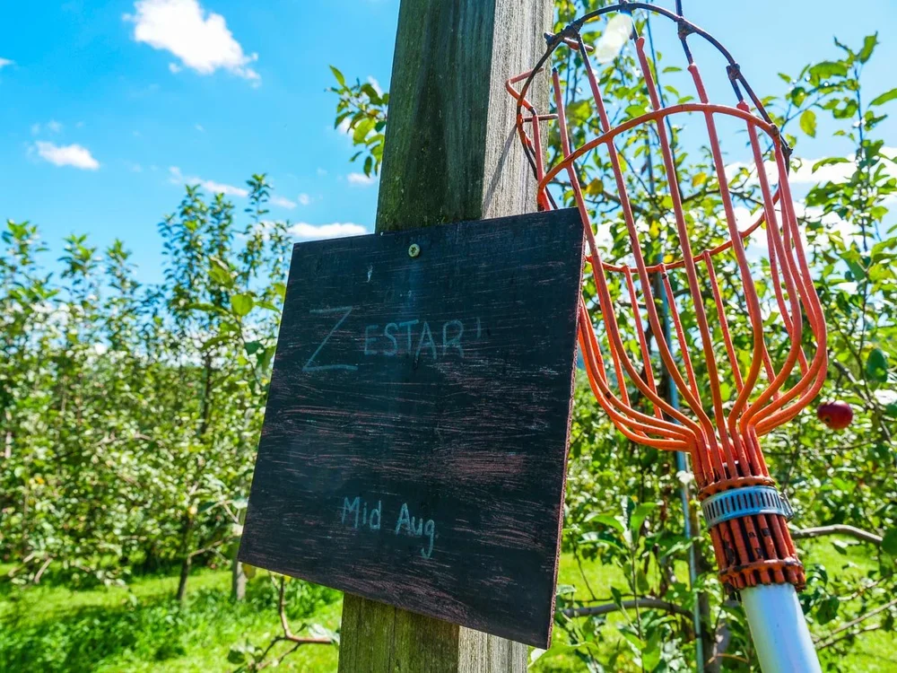Gallery 1 — Crooked Line Farm & Orchard | Fresh Fruit | Bath, NY
