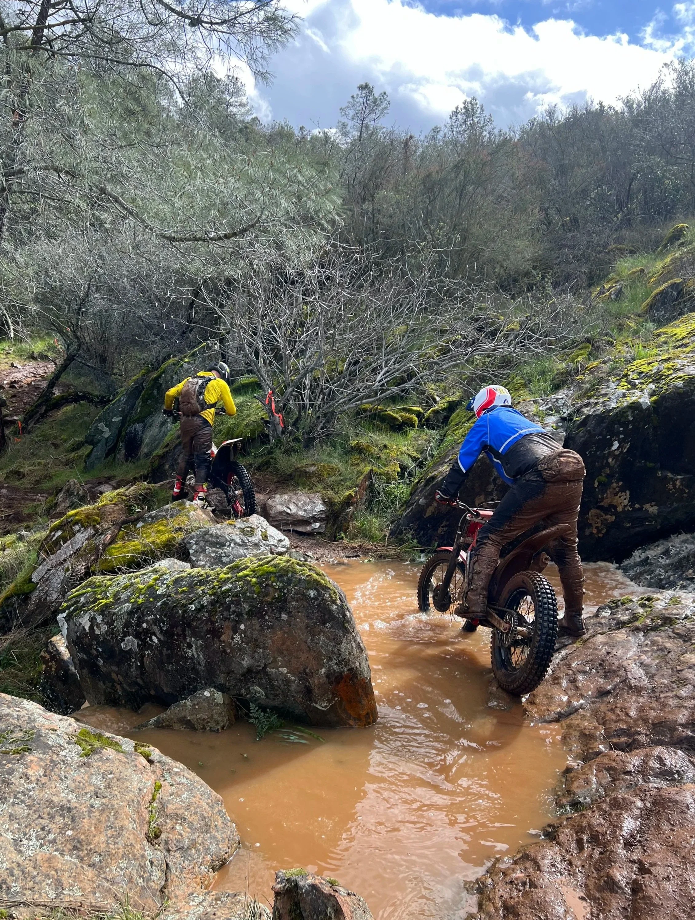 Tall Boys Trials Fork Guards – Full Fork Protection for Beta, GasGas ...
