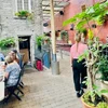 Jardin Nelson Montreal Old Port Montreal | Menu & Reviews-FoodNFashion.TV