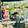 Jardin Nelson Montreal Old Port Montreal | Menu & Reviews-FoodNFashion.TV