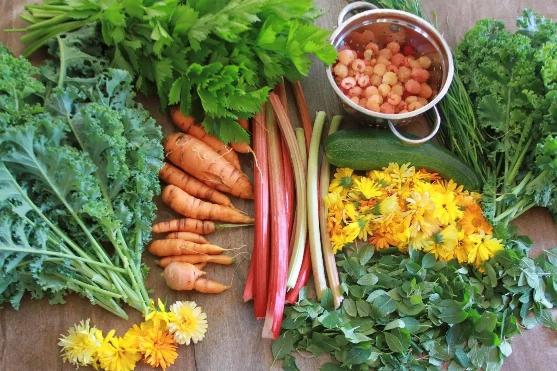 About — Palmer Food Bank