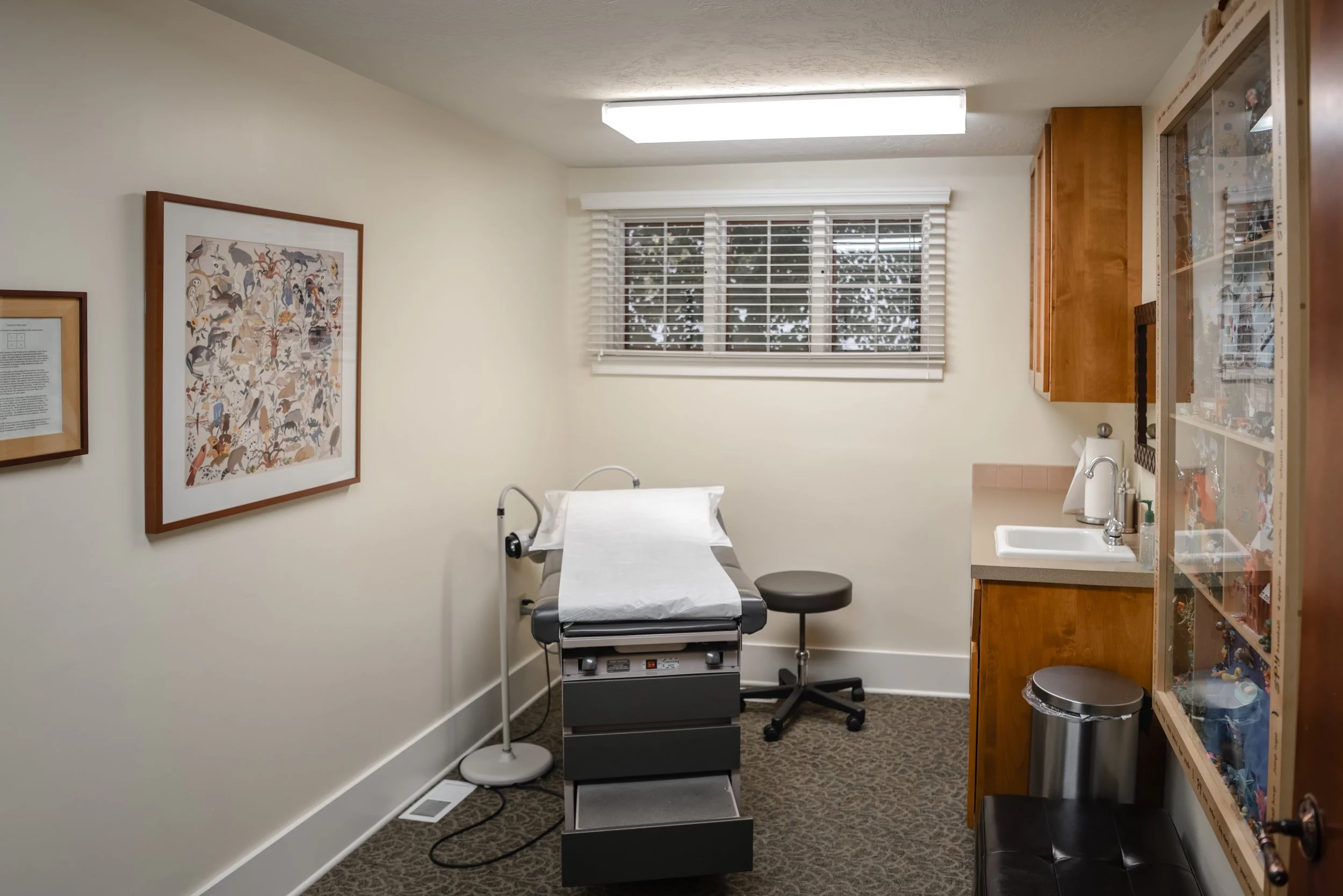 Our Services — Center for Lifetime Health