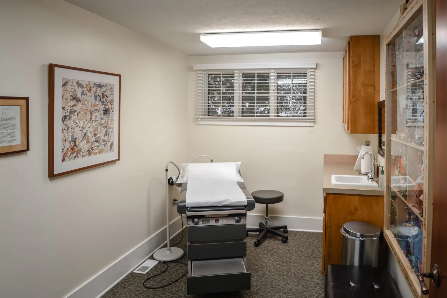 Our Services — Center for Lifetime Health