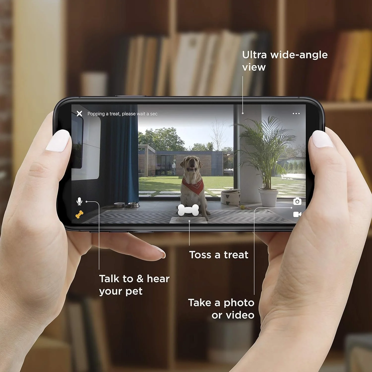 Tail-Wagging Telecommute: Keep Your Pet Happy with Remote Treats ...