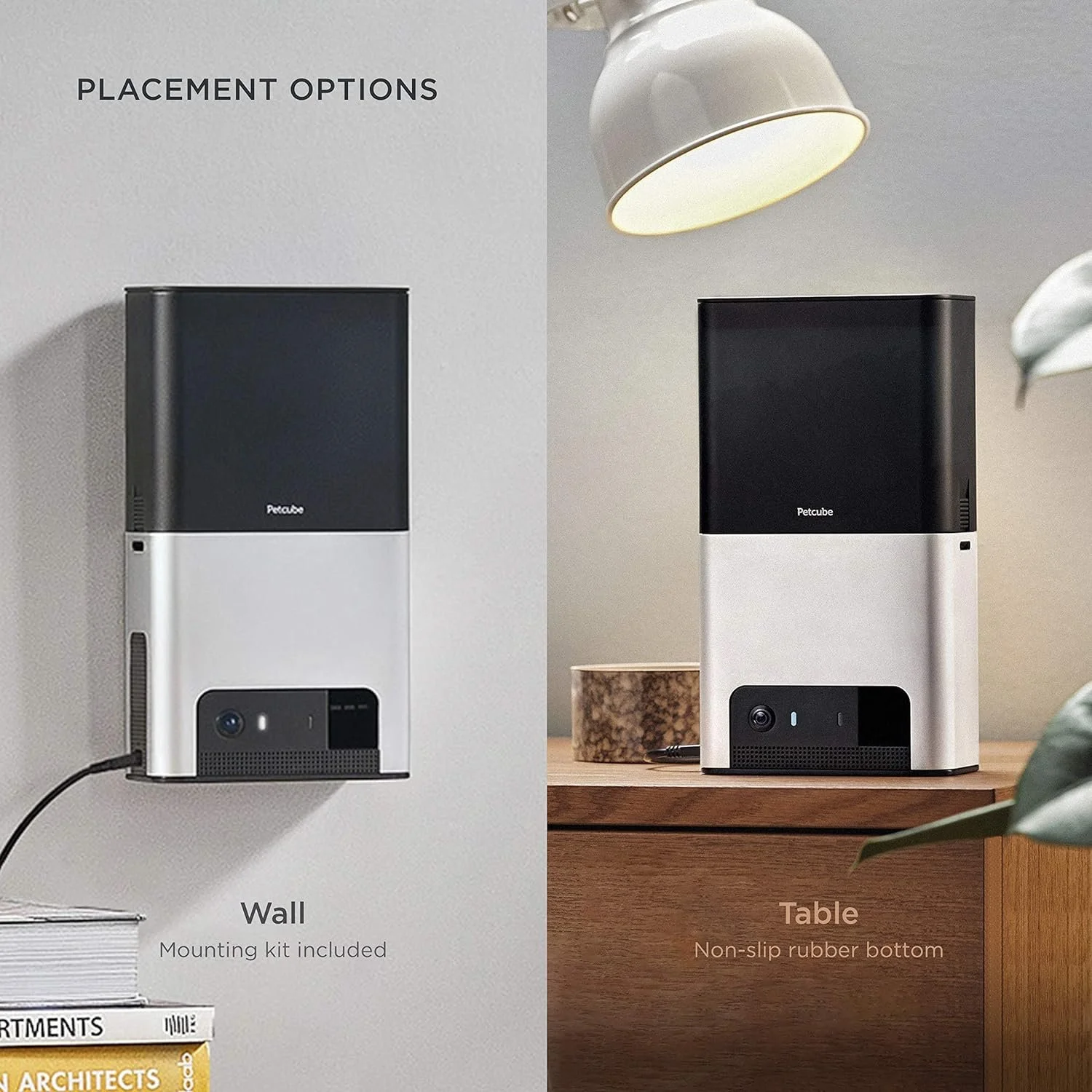 Tail-Wagging Telecommute: Keep Your Pet Happy with Remote Treats ...