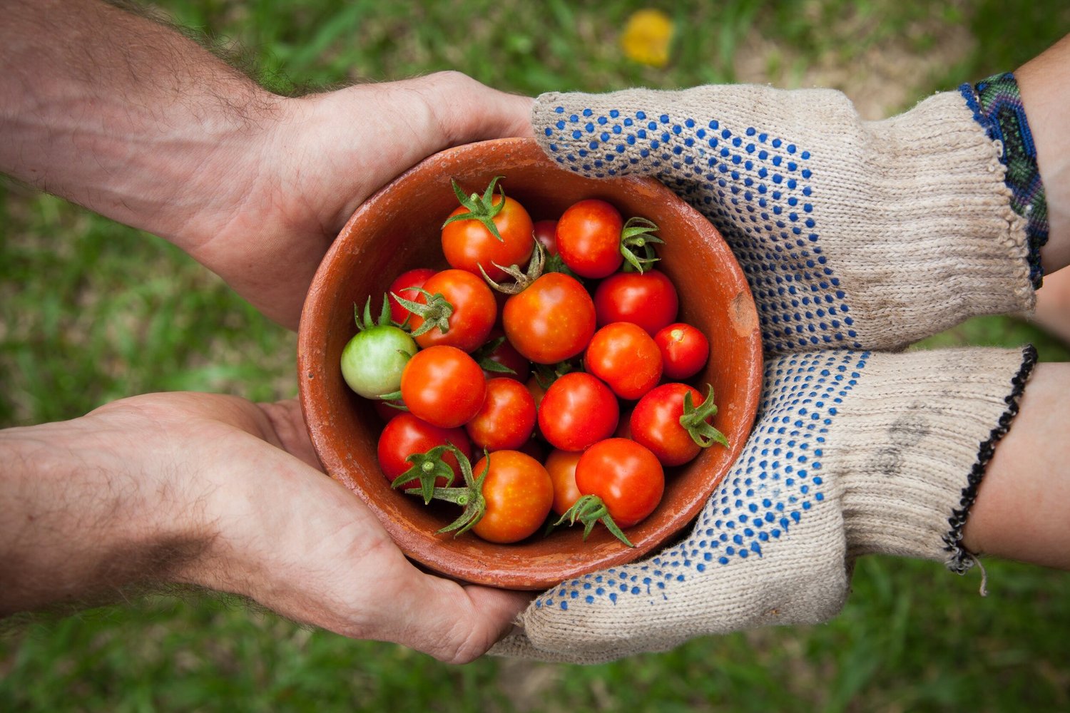 Get Help — Puyallup Food Bank