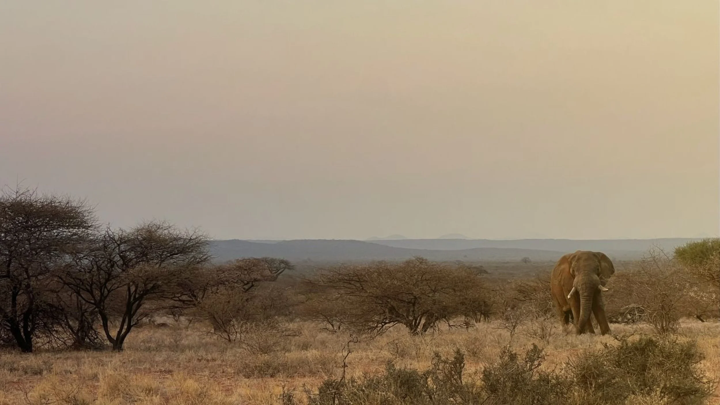 STALL THREE STUDIO | Exclusive Releases by Established Photographers & Artists