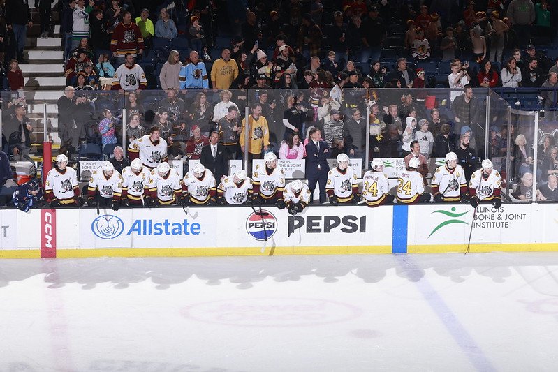 Chicago Wolves Recap: Moose, Wolves and Other Forest Creatures ...