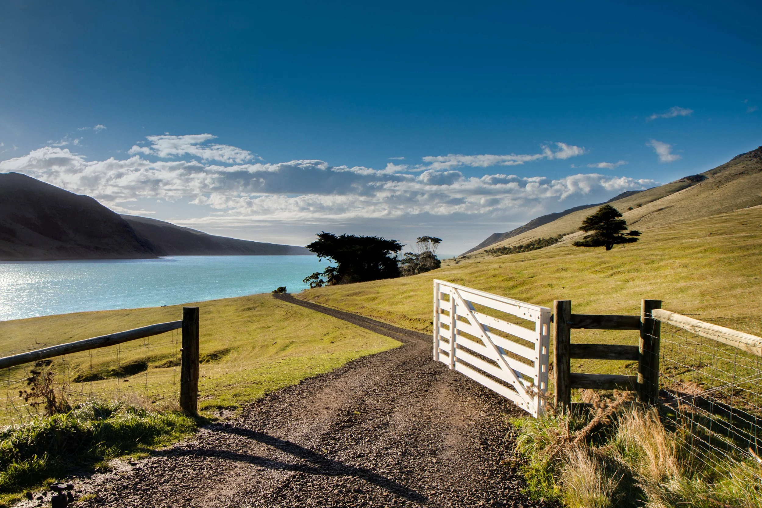 Scrubby Bay at Annandale — Luxury Villas of New Zealand
