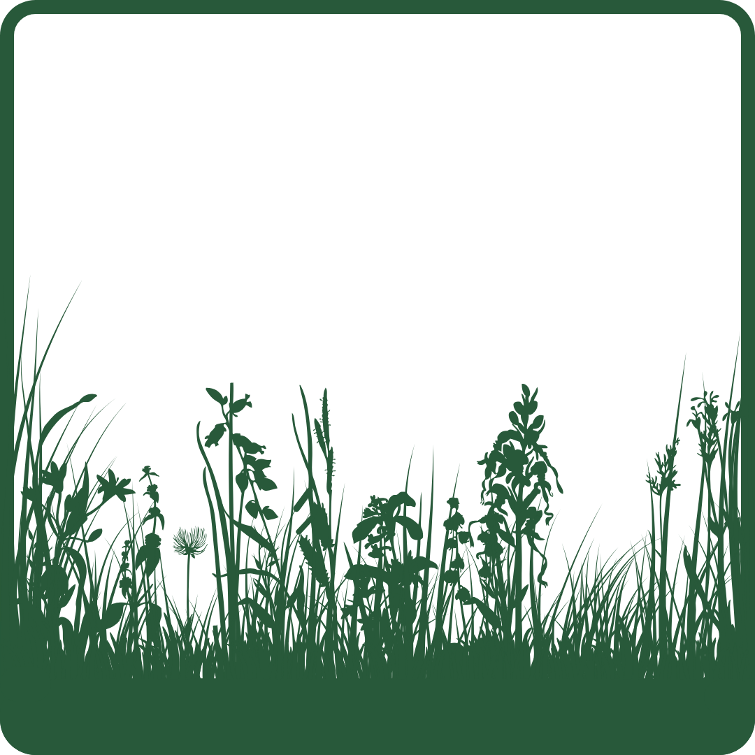 Down Under Covers - Cover Crops