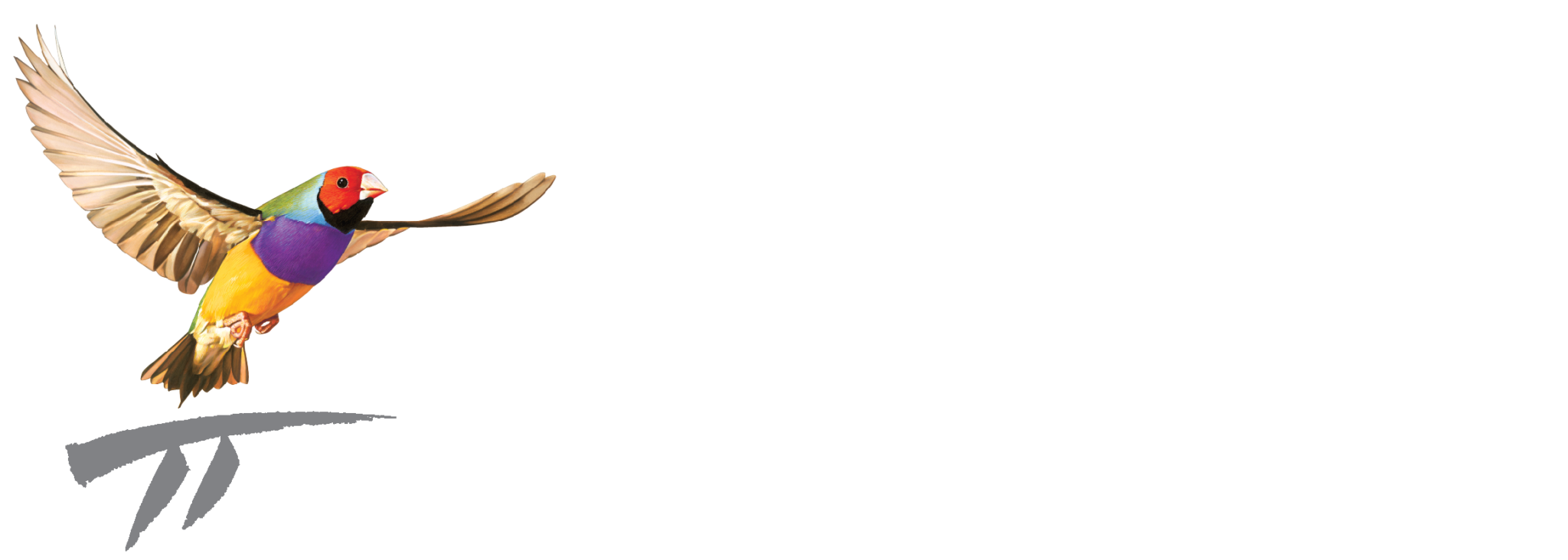 Contact Us — Ishar Multicultural Women’s Health Services Inc.