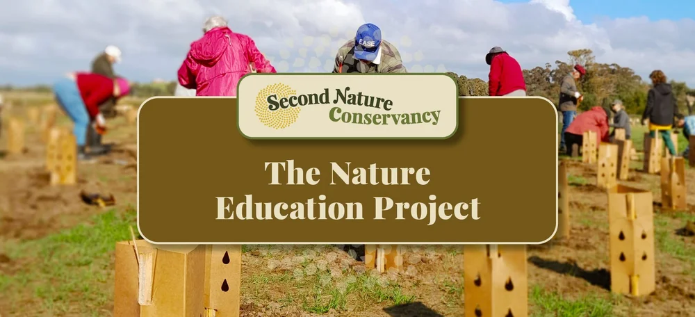 Second Nature Conservancy's Environmental Nature Projects In South ...