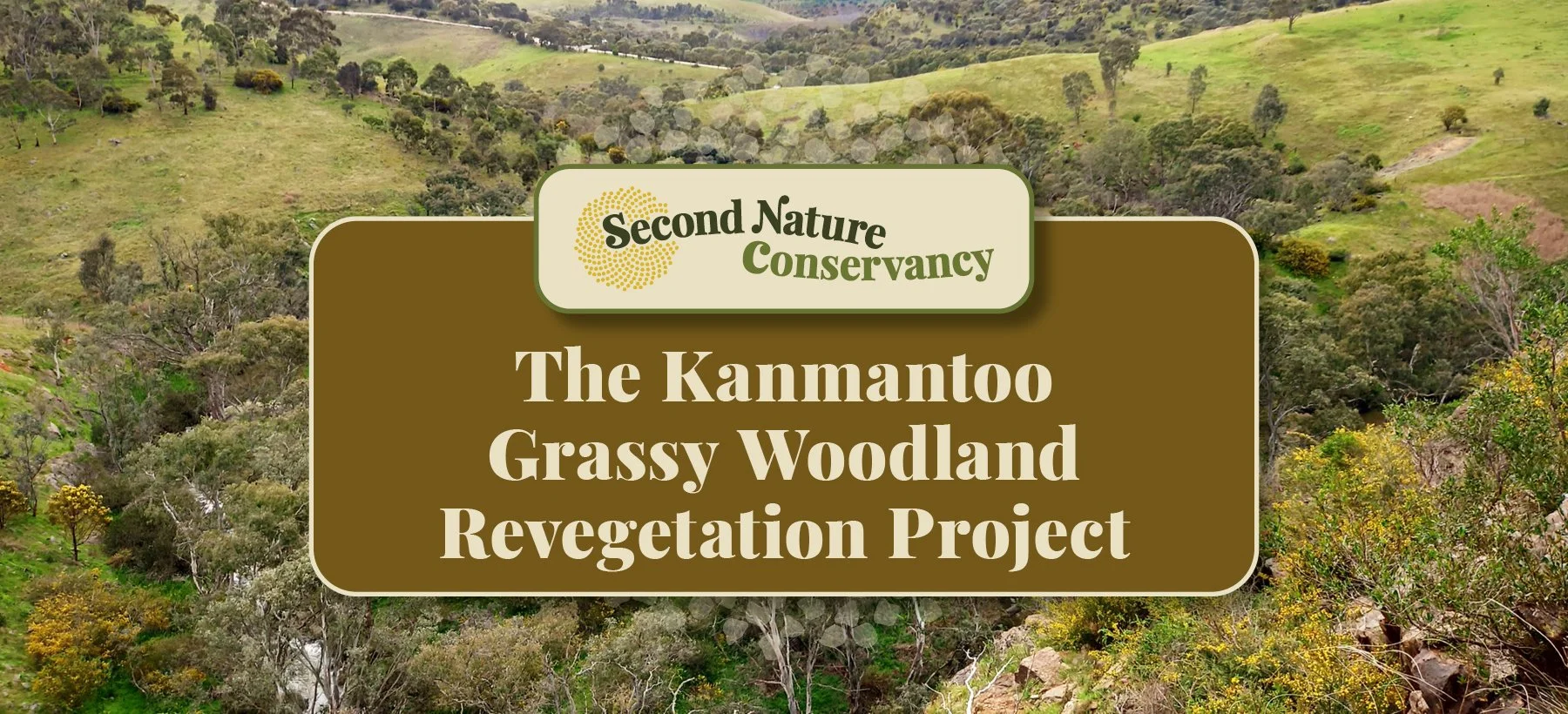 Second Nature Conservancy's Environmental Nature Projects In South ...
