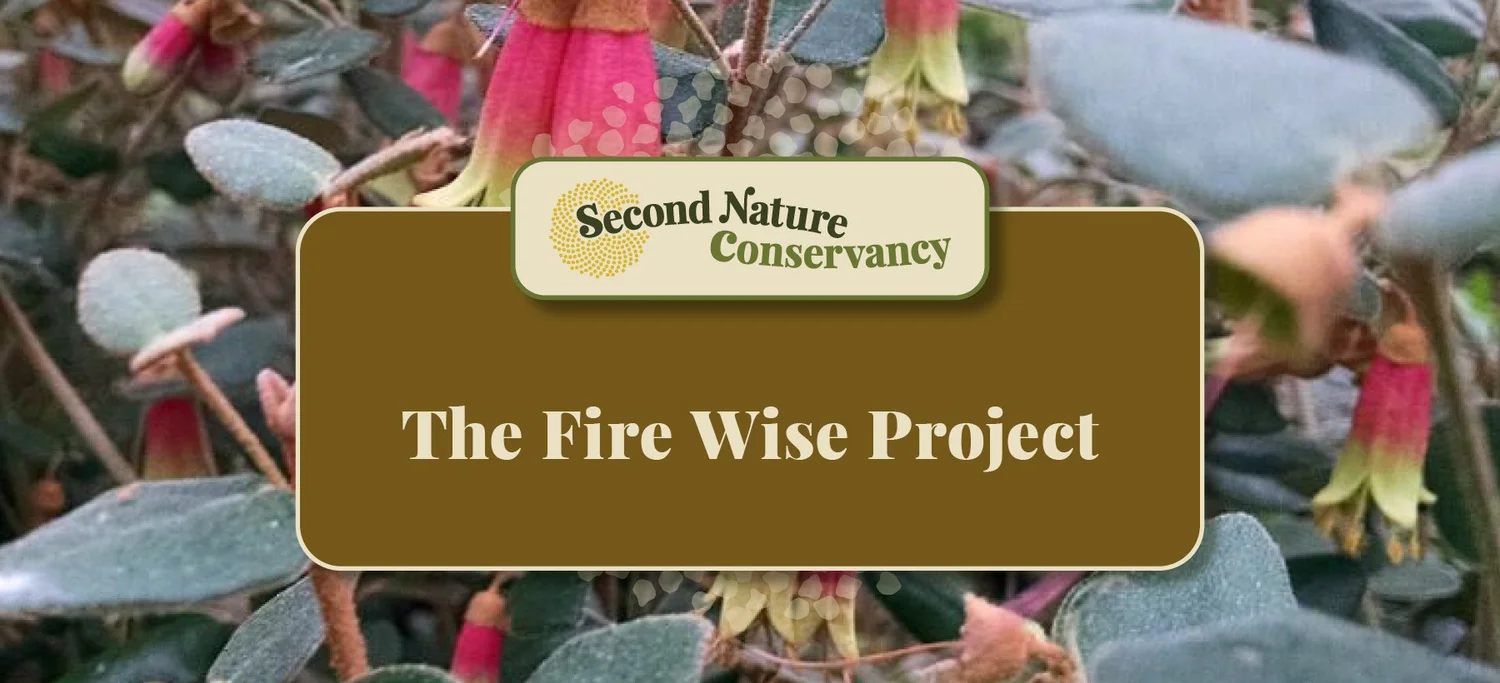 Second Nature Conservancy's Environmental Nature Projects In South ...